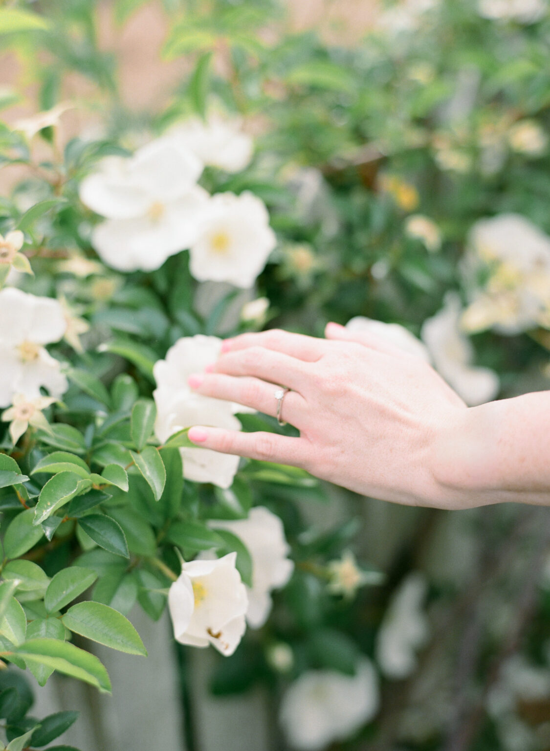 Colonial Williamsburg Engagement Session | Charlottesville Photographer