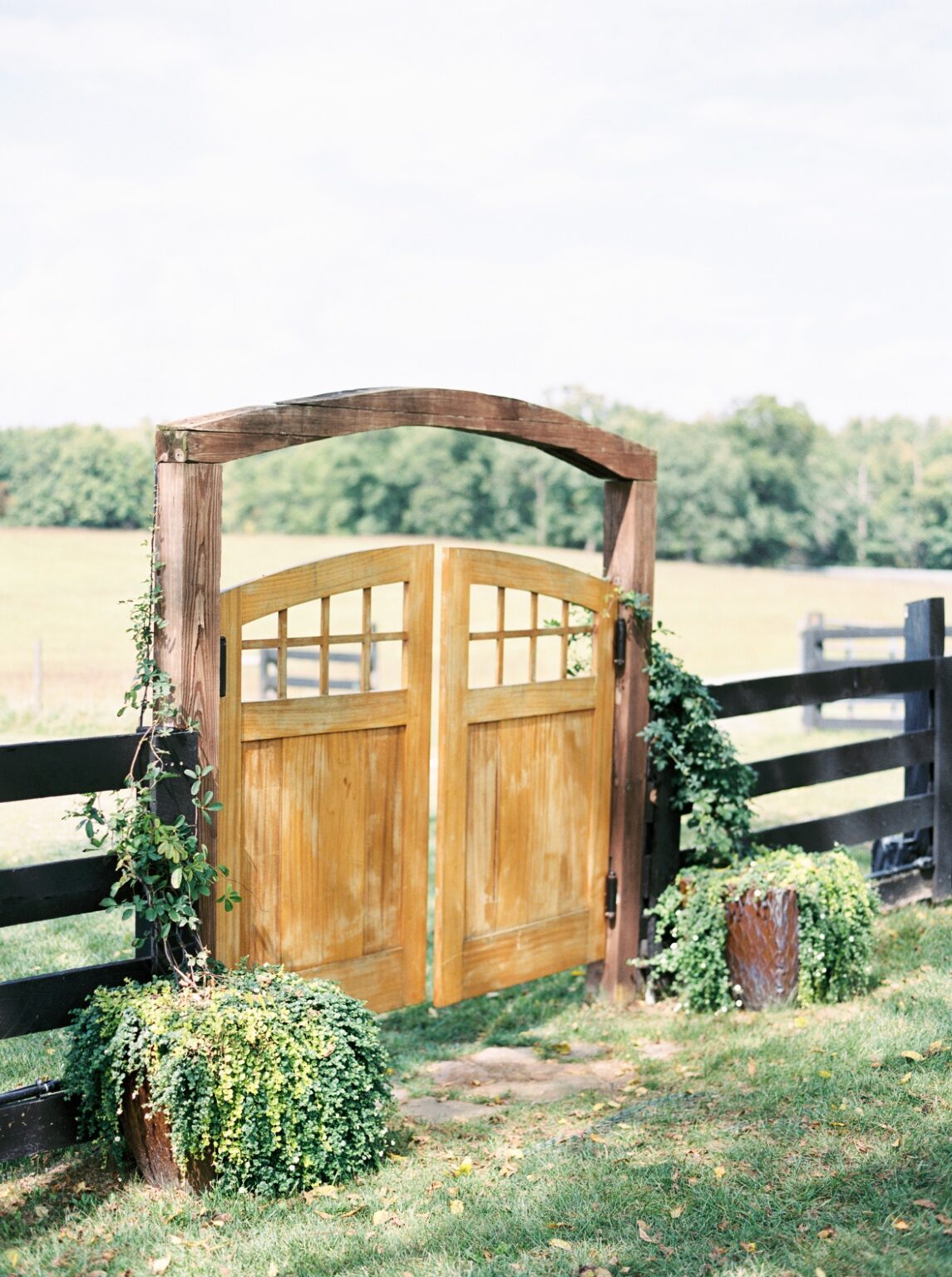 Wedding at Red August Farm | Charlottesville Wedding Photographer